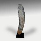 Akwanshi / Neubaa or Standing Ancestor Monolith, Based